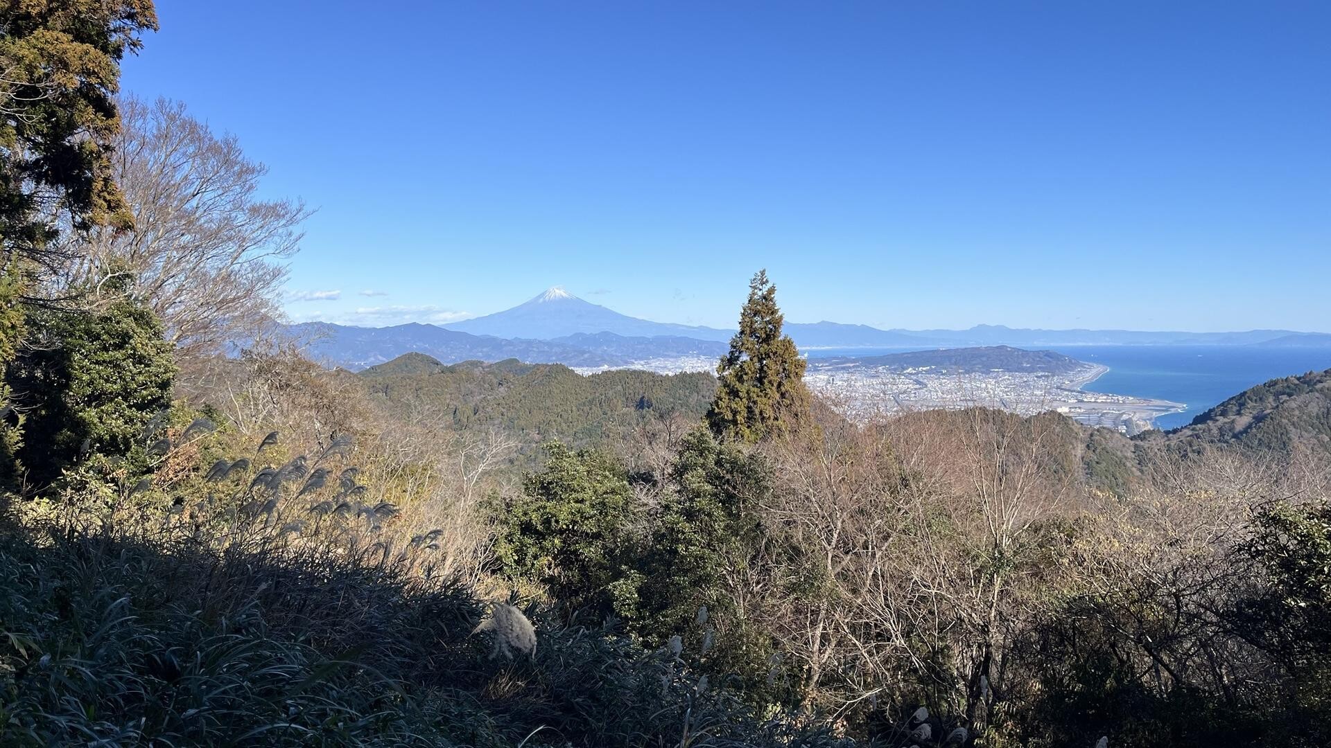 2024年登り納め 高草山 / hpapa-nさんの焼津アルプス（高草山・満観峰・花沢山）・徳願寺山の活動データ | YAMAP / ヤマップ