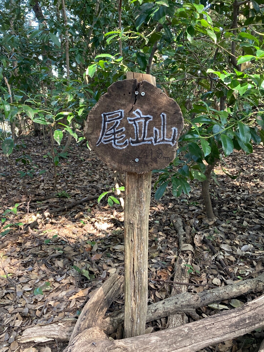 真ちゃんJI-JIさんの投稿したフィールドメモ | YAMAP / ヤマップ