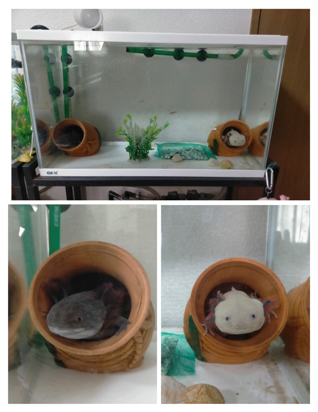 2022/4/26 GWはあまり天気が良... / まさやんさんのモーメント | YAMAP / ヤマップ