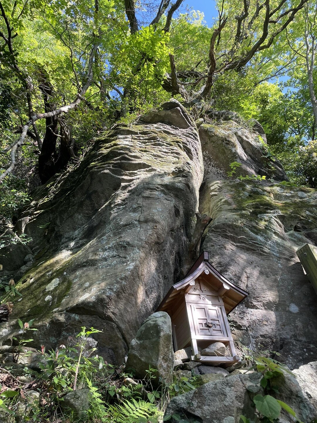 羽衣石山 / なべ(ワンゲルOB)さんの羽衣石山の活動データ | YAMAP / ヤマップ