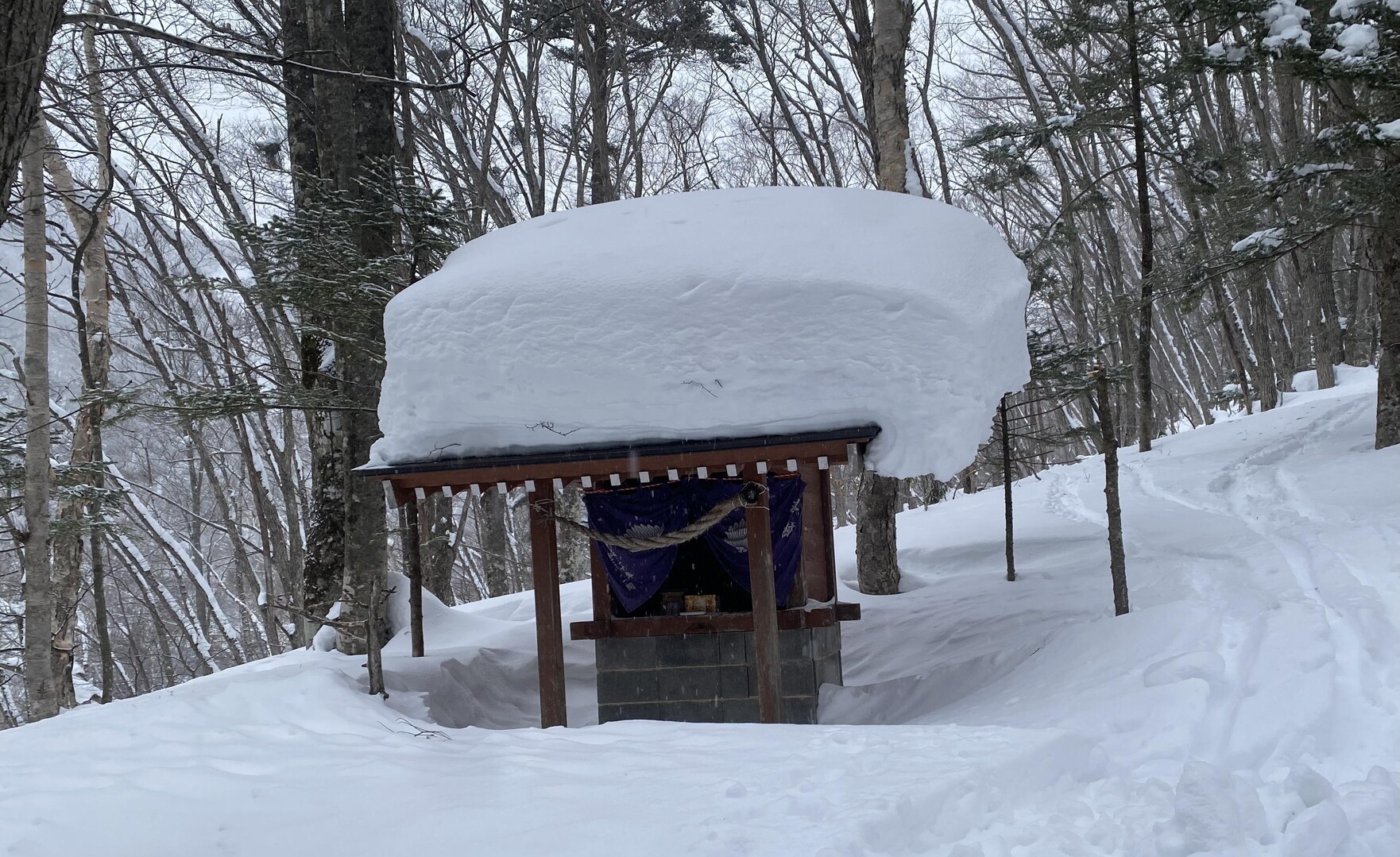 本日の飯縄山北西面＆瑪瑙山西尾根のこぼれ... / バタヤンさんのモーメント | YAMAP / ヤマップ