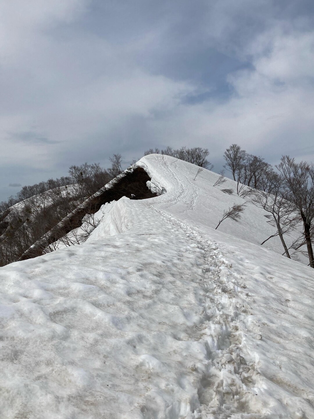 2024/04/08 赤崩山 / Taka-Kamさんの未丈ヶ岳の活動データ | YAMAP / ヤマップ