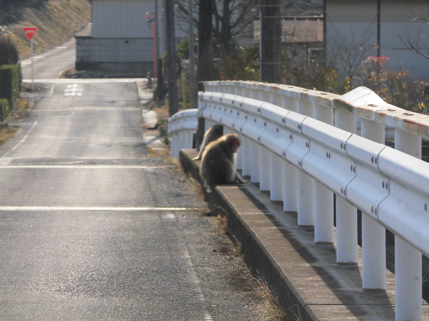 三桁デブの山城歩き ”懸垂下降”の長谷場城 佐野市 / とちえすさんの三床山・金原山の活動データ | YAMAP / ヤマップ