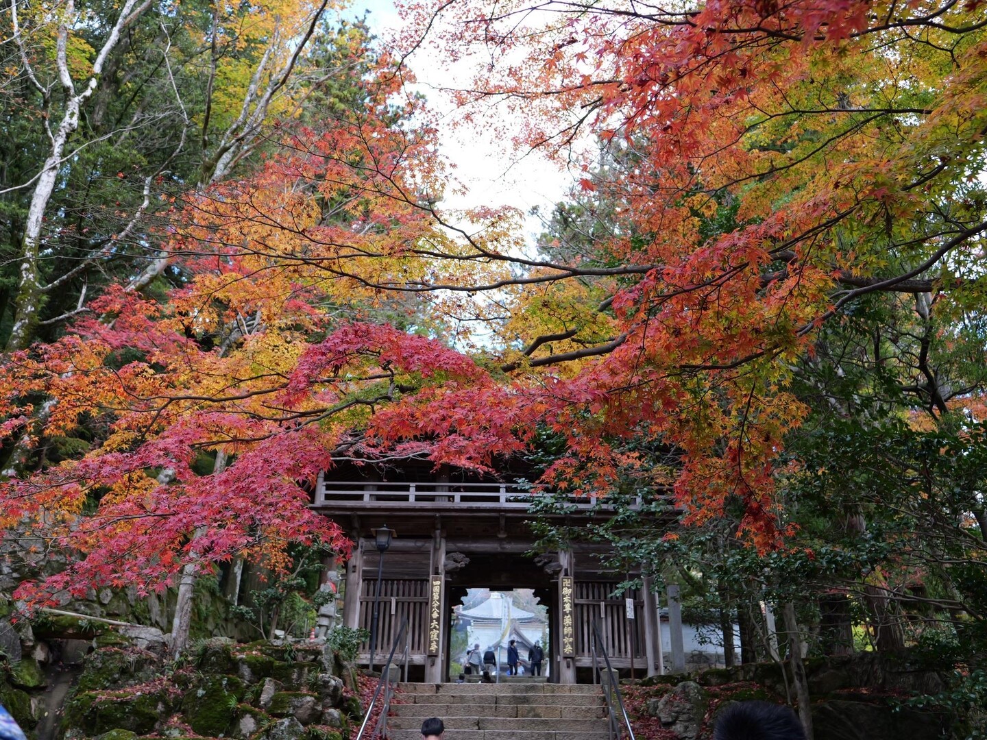 四国霊場第八十八番札所 大窪寺 紅葉 #... / wanbenさんのモーメント | YAMAP / ヤマップ