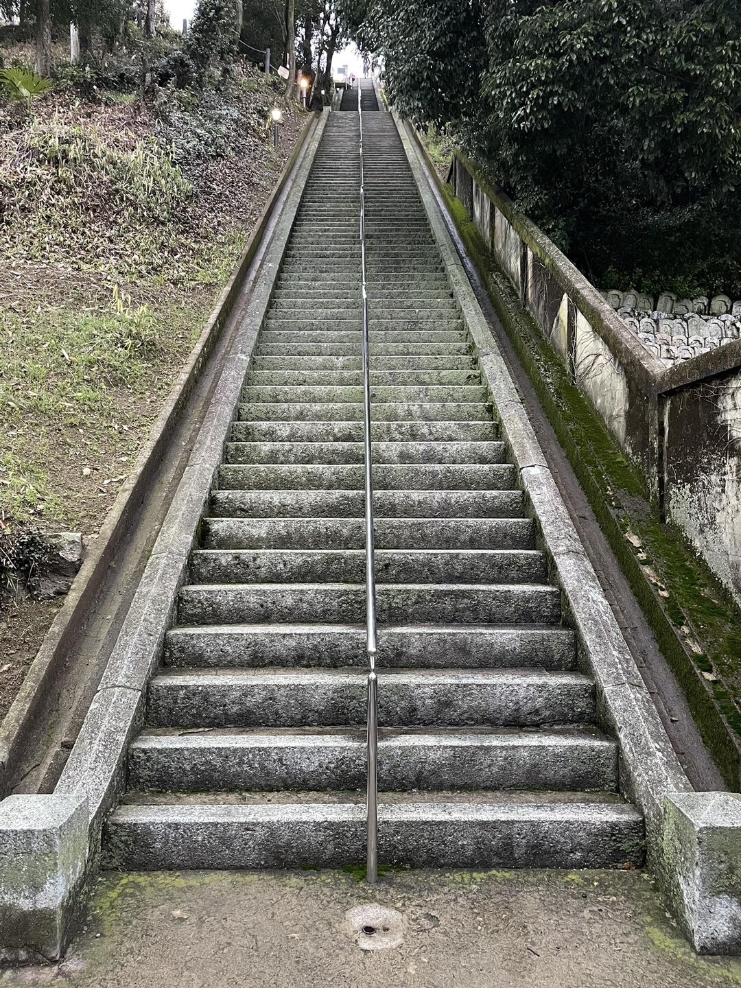 男山階段練 / HASEさんの登山の活動データ | YAMAP / ヤマップ