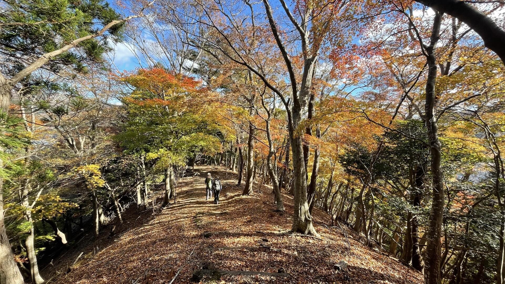 黒森山 / satorinさんの石投山・硯上山・羽黒山の活動日記 | YAMAP / ヤマップ