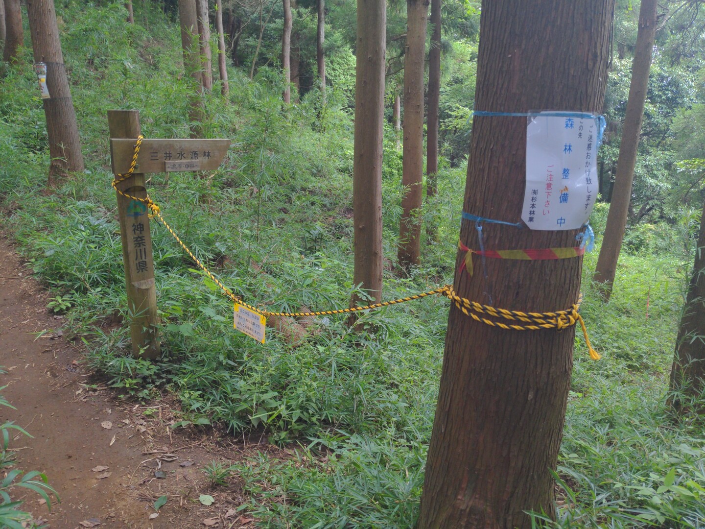 Stevenさんの投稿したフィールドメモ | YAMAP / ヤマップ