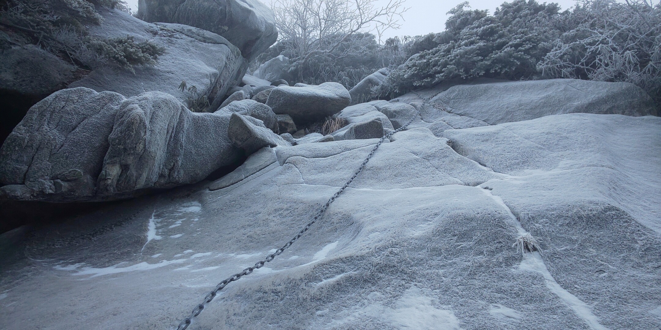 Alexさんの投稿したフィールドメモ | YAMAP / ヤマップ