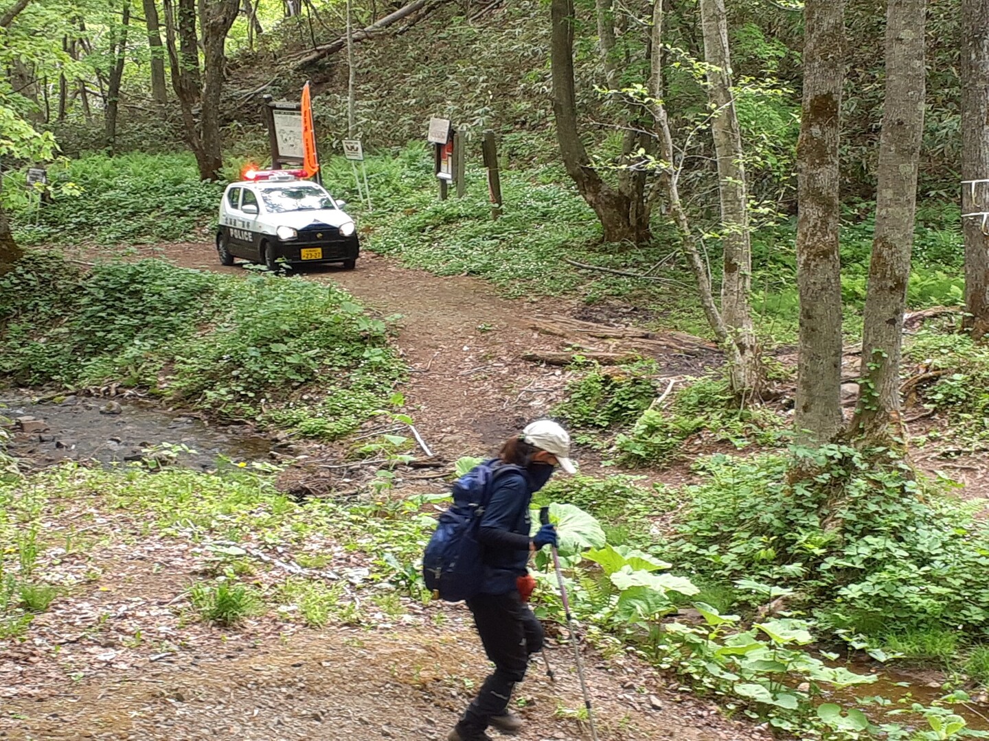 砥石山、中の沢コースで親子熊の目撃情報！... / noriGさんのモーメント | YAMAP / ヤマップ