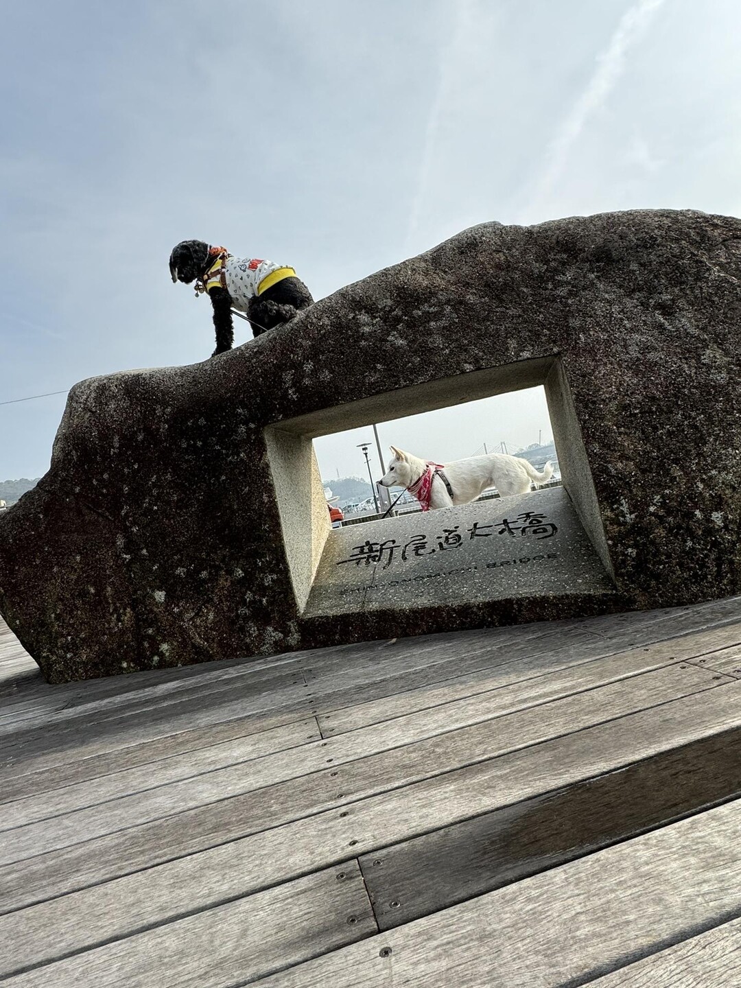 ☁️今朝のお散歩🎵🐶🐩😃 お先真... / GHハコさんのモーメント | YAMAP / ヤマップ