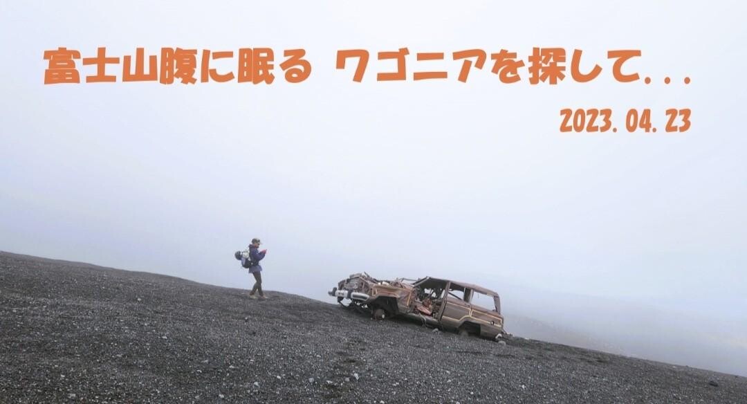 🏡お家時間で動画編集🏡 ゴールデン... / ろつおさんのモーメント | YAMAP / ヤマップ