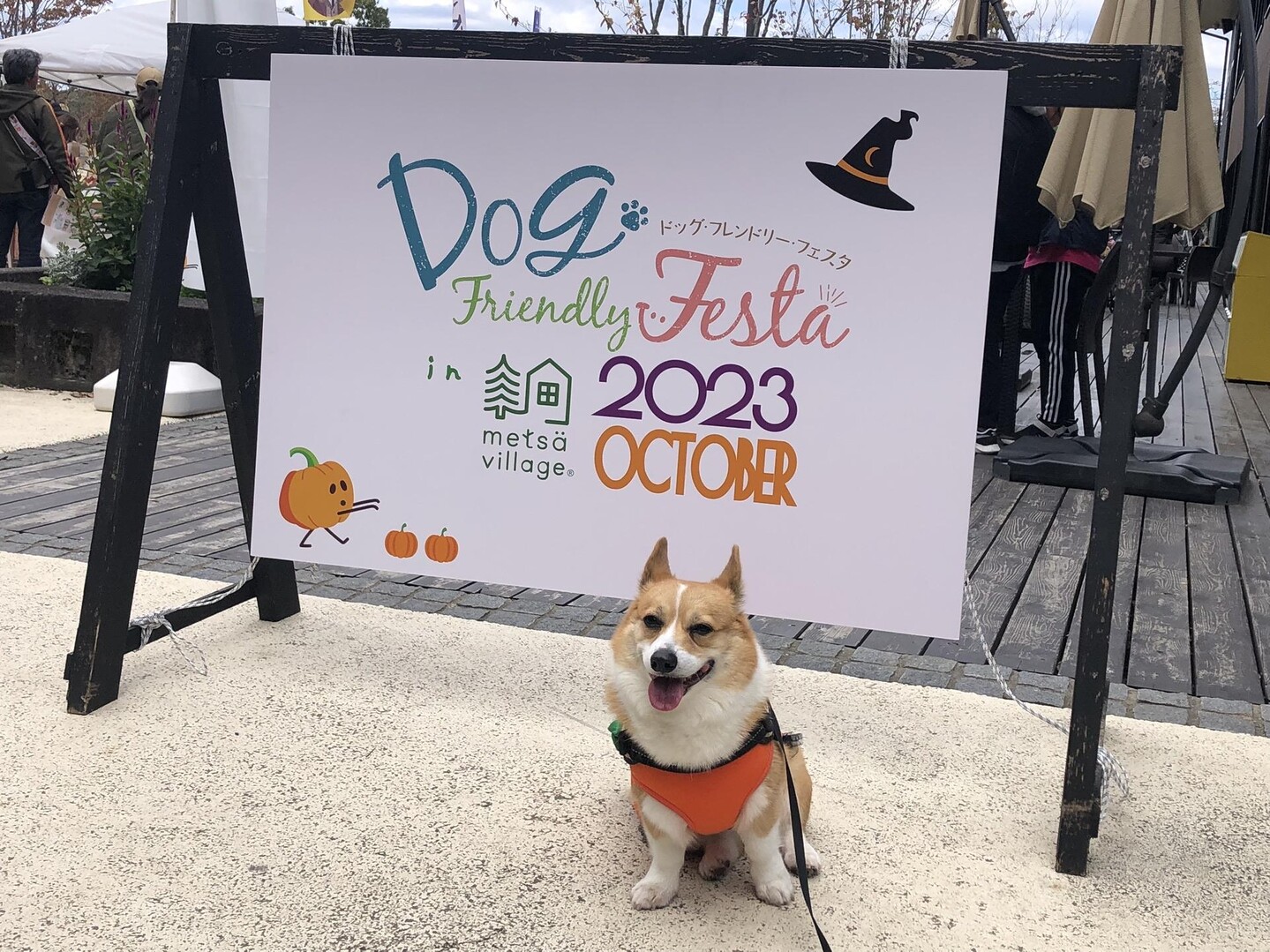 cocoちゃん初天覧山🐶 / かっさんの天覧山・多峯主山・天覚山の活動データ | YAMAP / ヤマップ