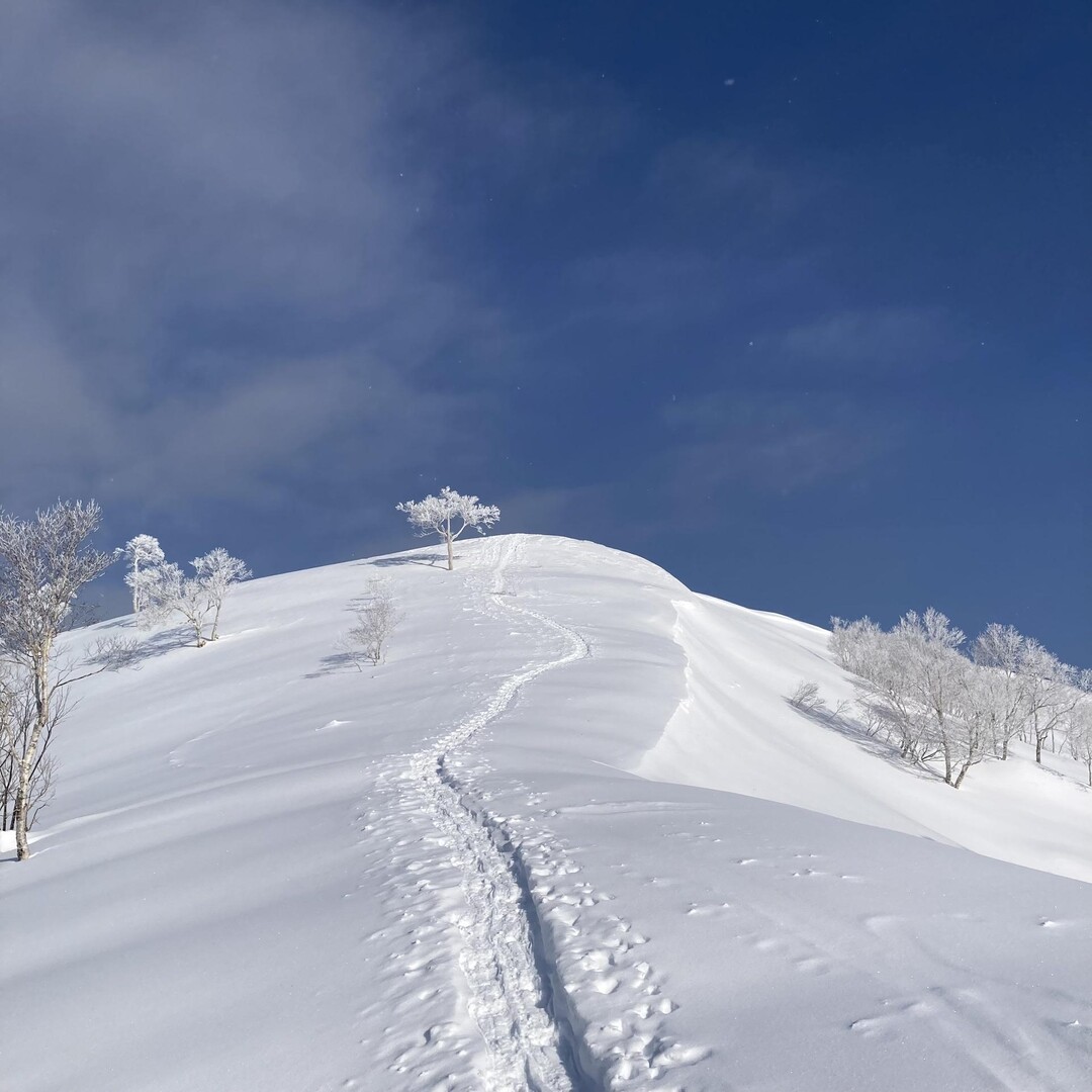 イチャンコッペ山・幌平山 / TANさんのイチャンコッペ山の活動データ | YAMAP / ヤマップ