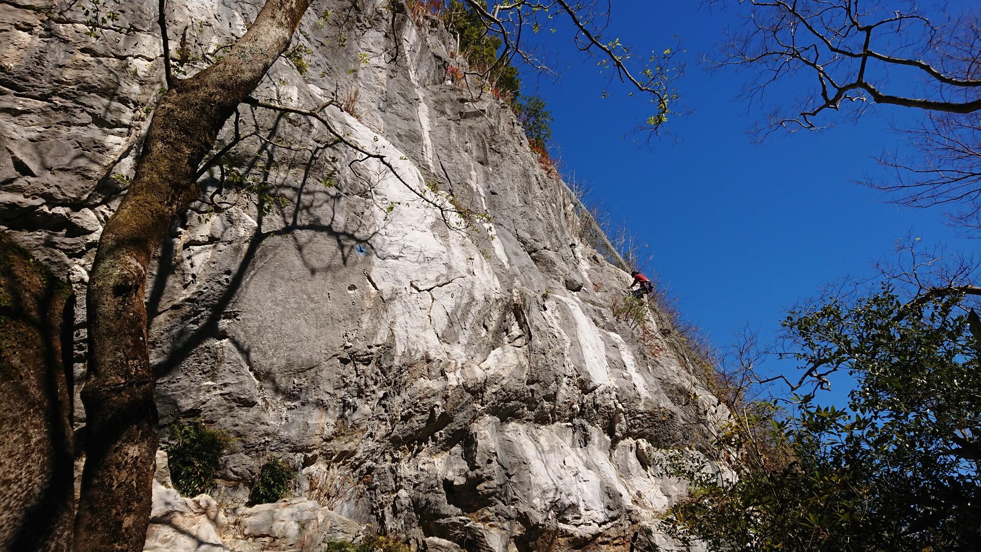 白クラクライミング-2022-12-15 / mobanatchさんの網掛山の活動データ | YAMAP / ヤマップ