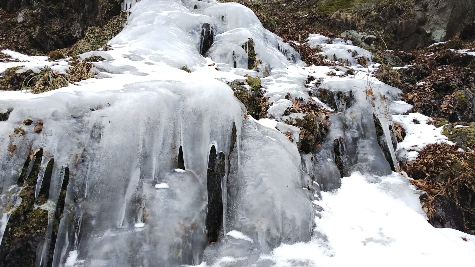 雪山に憧れ熊鷹山へ(企画倒れ) / mommutさんの根本山・熊鷹山・氷室山の活動データ | YAMAP / ヤマップ