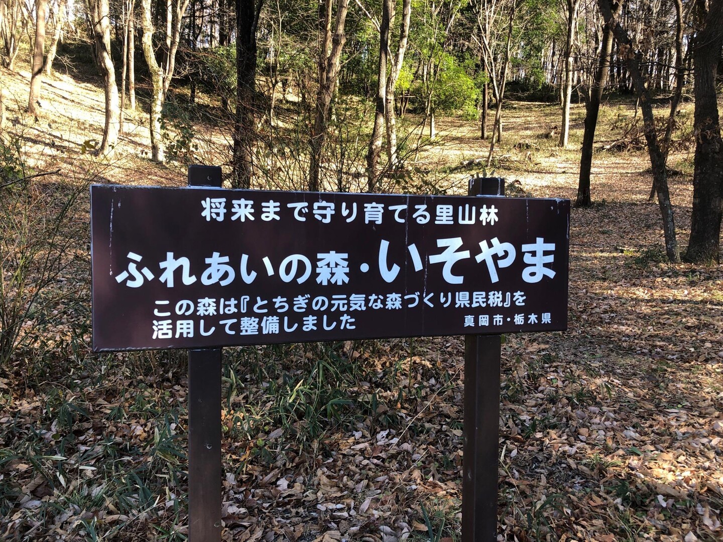 磯山 / KANさんの大政山・浅間山の活動データ | YAMAP / ヤマップ