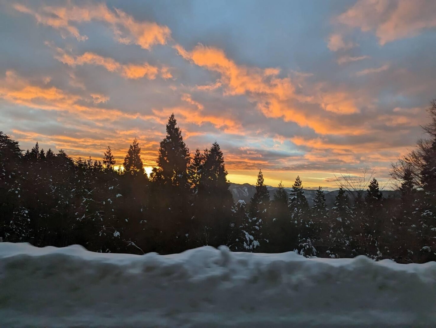 2022 /2/28 『滑る』為の山遊... / kokeさんのモーメント | YAMAP / ヤマップ