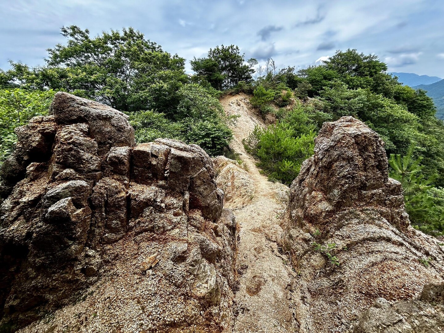 高畑山東峰・高畑山 / Nandoさんの高畑山・那須ヶ原山・油日岳の活動日記 | YAMAP / ヤマップ