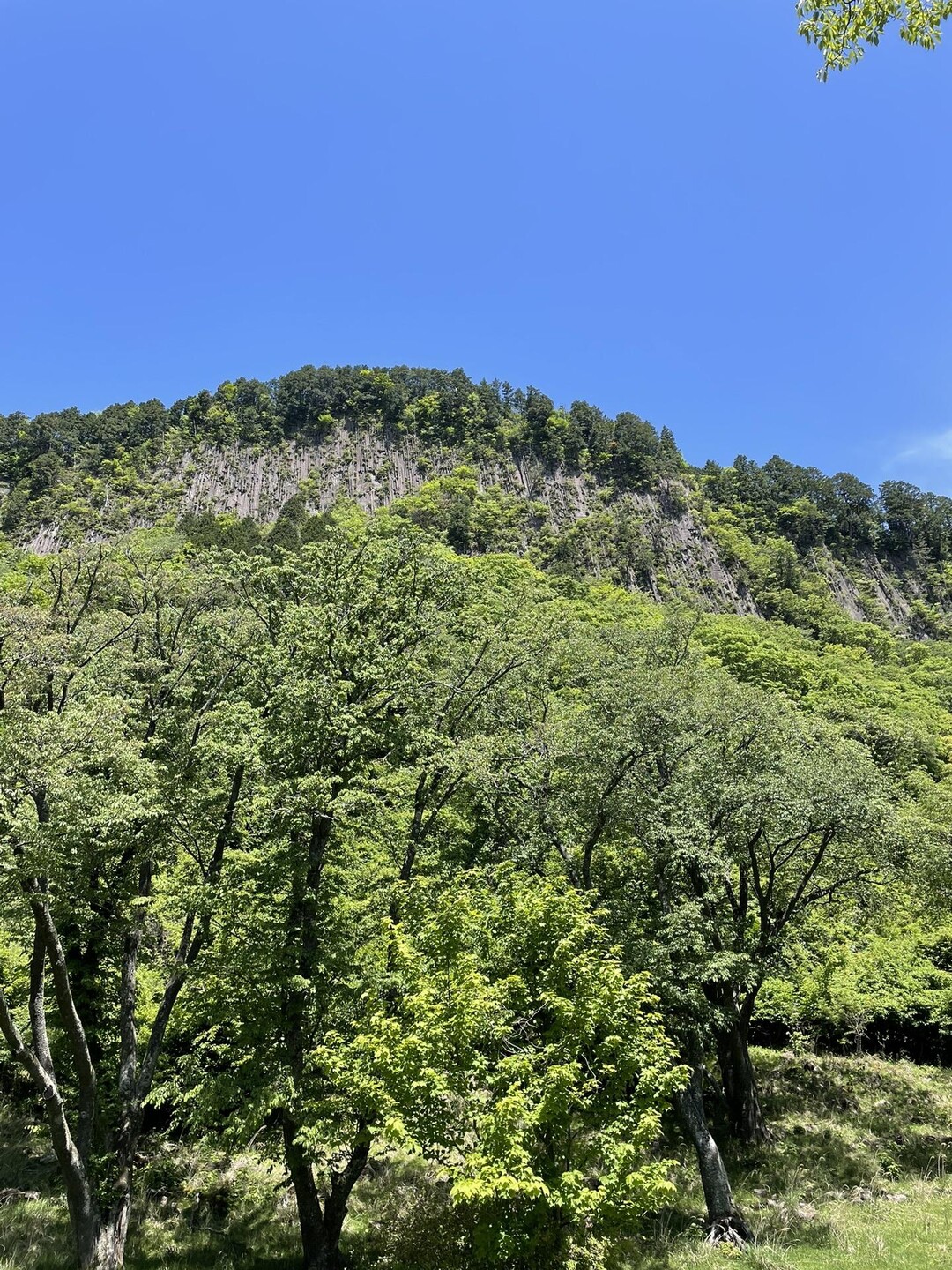 住塚山・国見山 / mimaさんの住塚山・兜岳・鎧岳の活動データ | YAMAP / ヤマップ