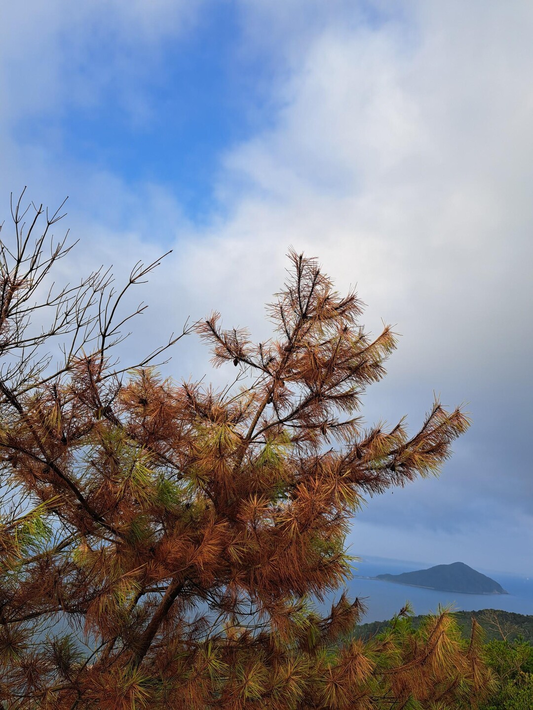 姫島。糸島立石山山頂より / keikoさんのモーメント | YAMAP / ヤマップ