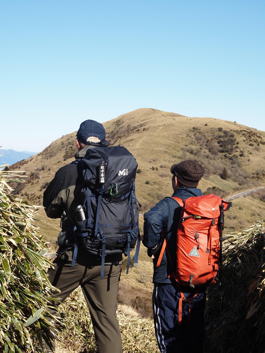 憧れの伊豆山稜線歩道ハイク / おぐ(OG)さんの金冠山・達磨山・葛城山の活動データ | YAMAP / ヤマップ