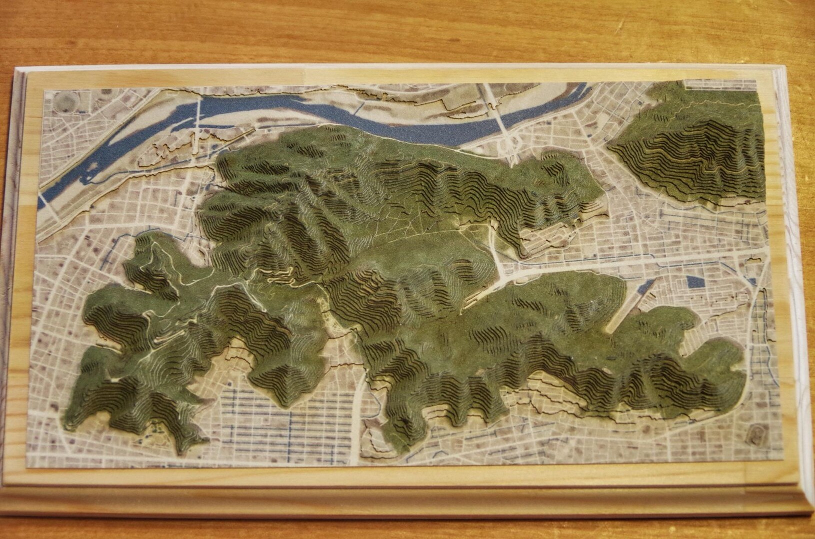 やまつみ金華山 ペーパーを等高線ごとに... / jinisanさんのモーメント | YAMAP / ヤマップ