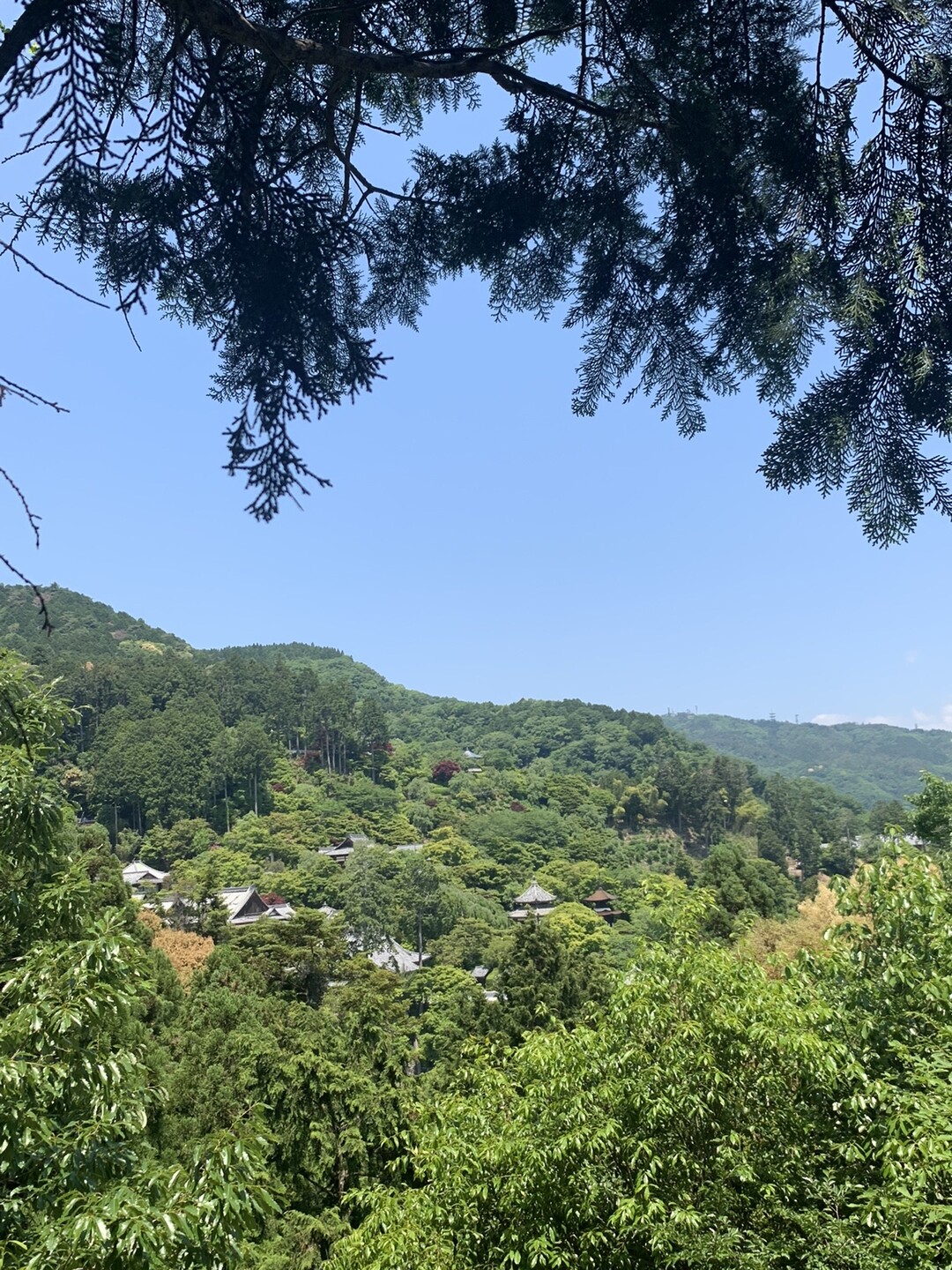 Andytakaさんの投稿したフィールドメモ | YAMAP / ヤマップ