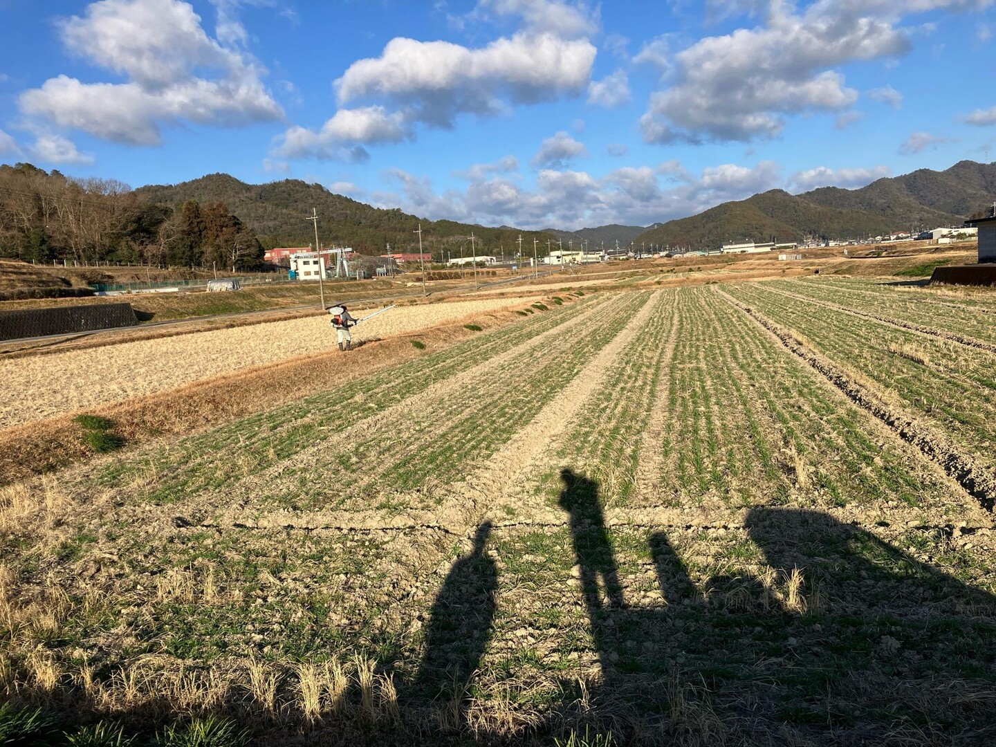 午前中は、施肥(1回目) / masさんのウォーキングの活動データ | YAMAP / ヤマップ