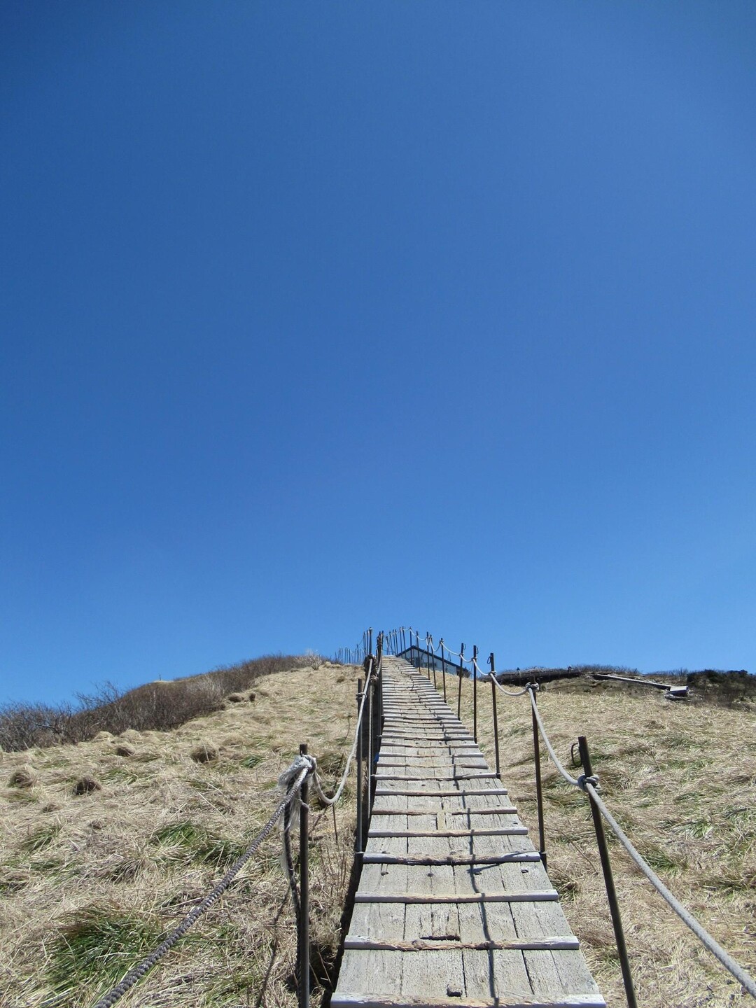 大山 / kenkenさんの大山・甲ヶ山・野田ヶ山の活動データ | YAMAP / ヤマップ