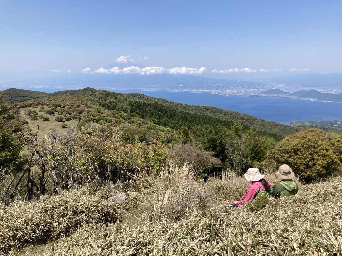 伽藍山&古希山&達磨山＆金冠山 / houlanさんのモーメント | YAMAP / ヤマップ