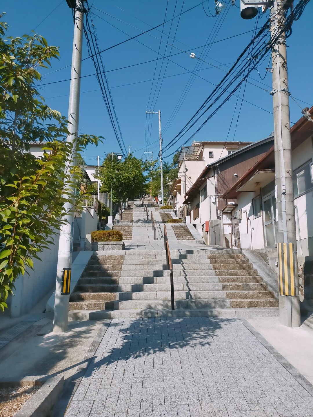 sadaさんの投稿したフィールドメモ | YAMAP / ヤマップ