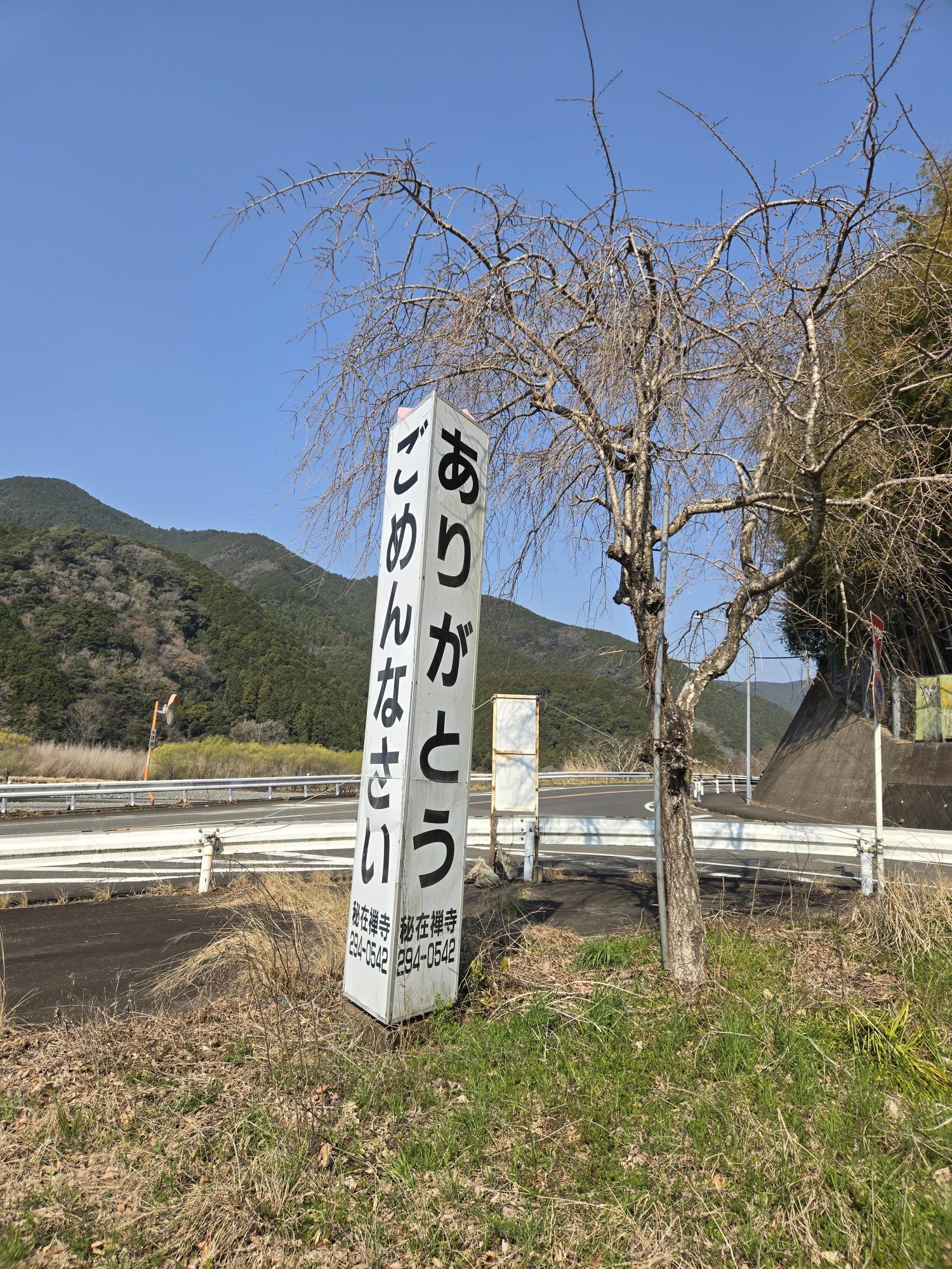 安倍ごころからの竜爪山・若山 / TKCさんの竜爪山・薬師岳の活動データ | YAMAP / ヤマップ