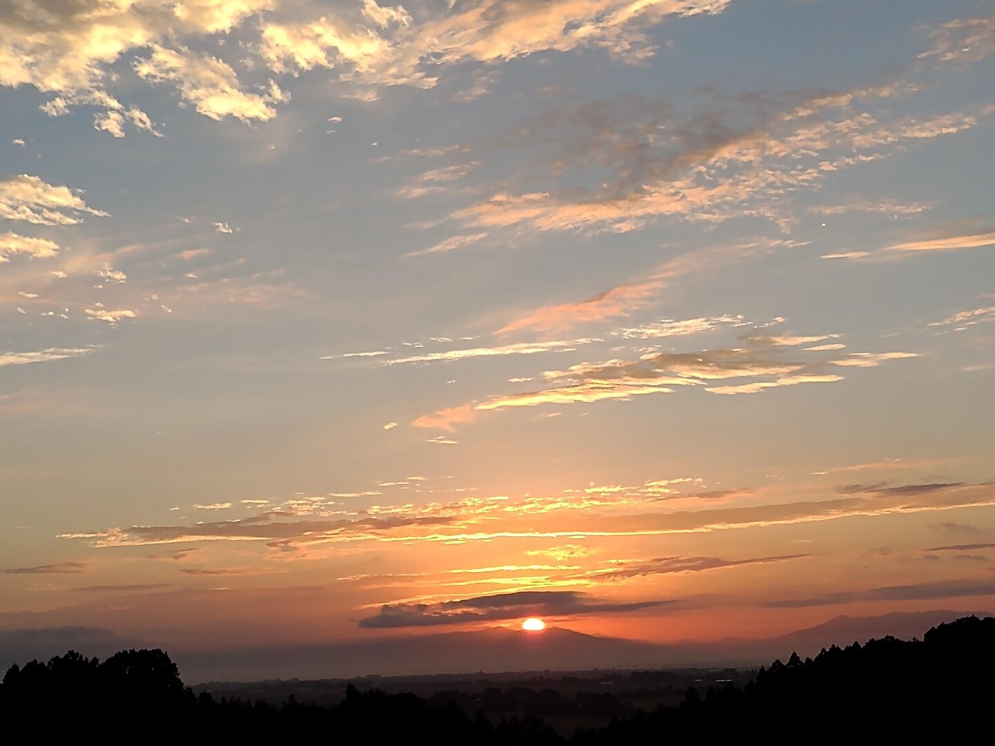 角田山 湯の腰コース / Andrewさんの角田山の活動データ | YAMAP / ヤマップ