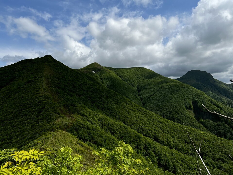 大関山-ハマグリ山-トンガリ山-山形神室岳-神室岳 往復コースの地図・登山ルート・登山口情報 | YAMAP / ヤマップ