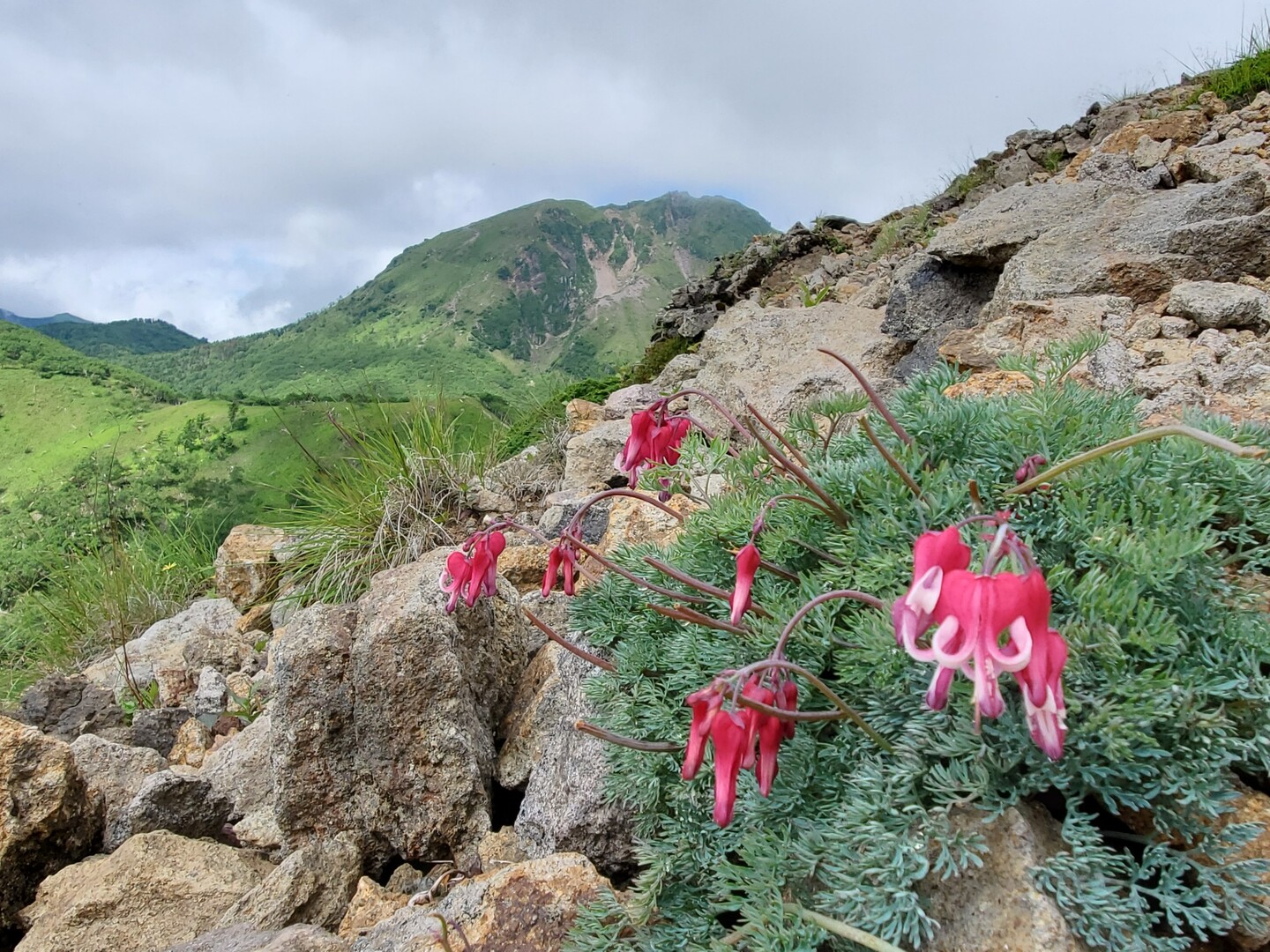前白根山・五色山 / pi-sukeさんの日光白根山・五色山・錫ヶ岳の活動データ | YAMAP / ヤマップ