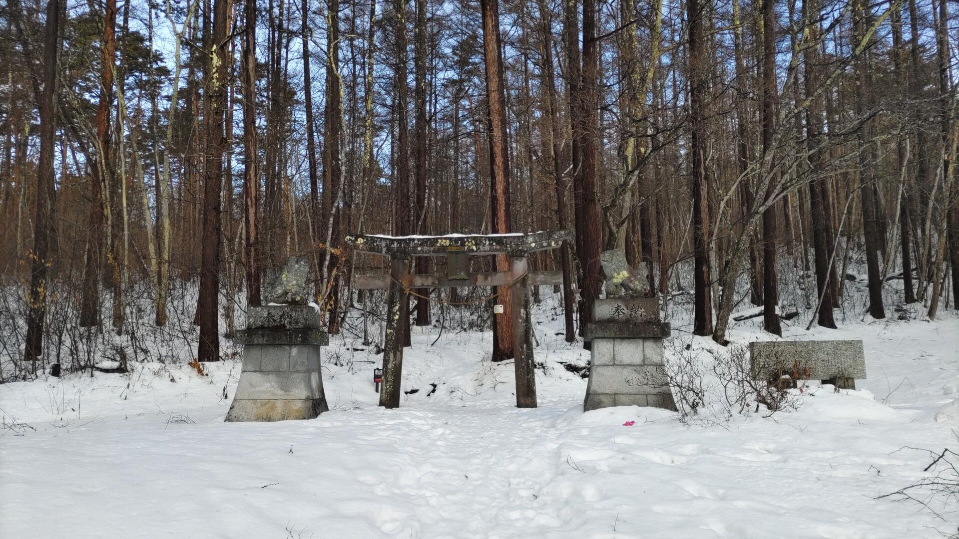 飯縄山（飯綱山） / celicaさんの飯縄山の活動データ | YAMAP / ヤマップ