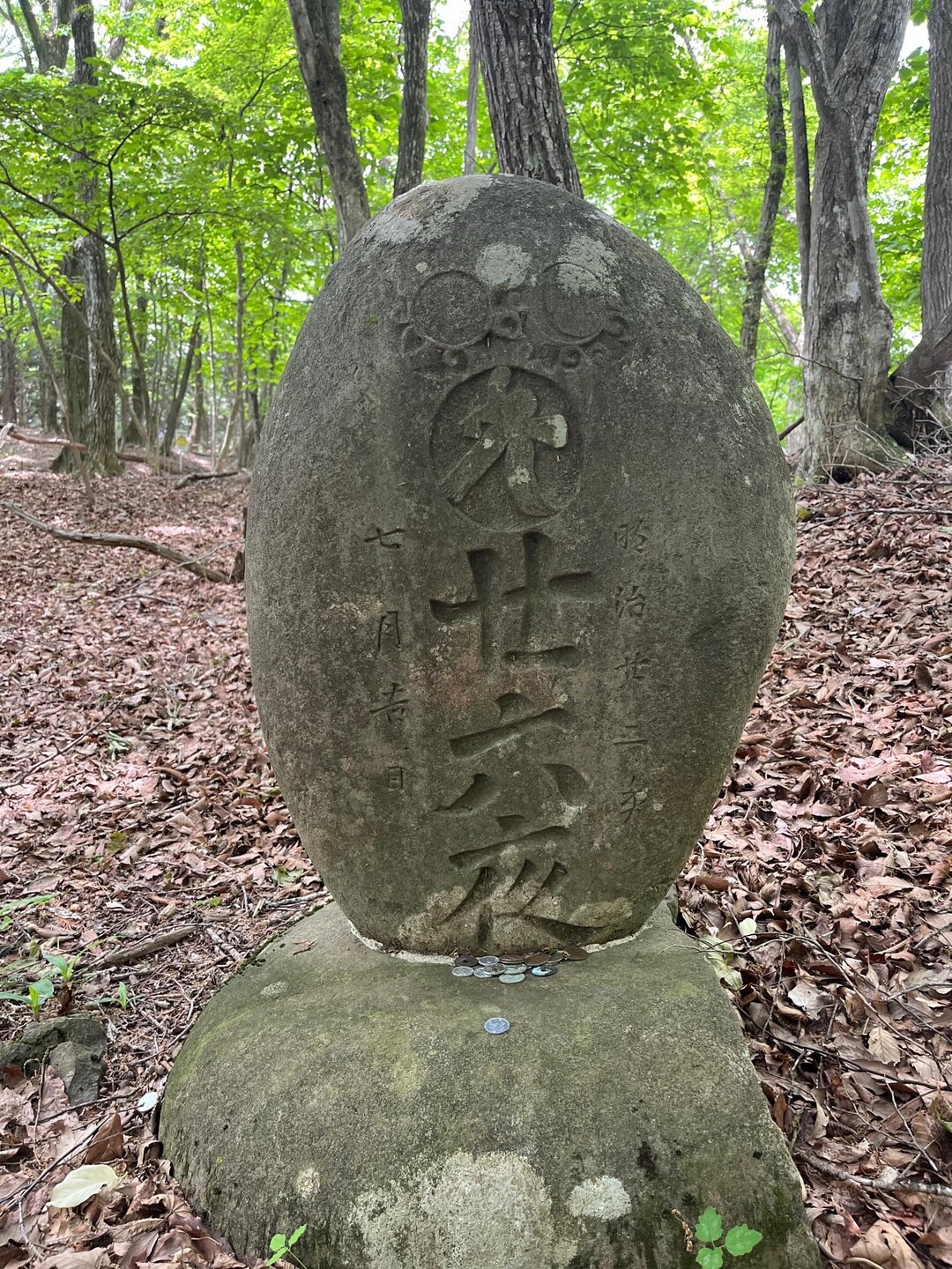 二十六夜山（秋山二十六夜山） / konyan さんの倉岳山・高畑山・九鬼山の活動データ | YAMAP / ヤマップ