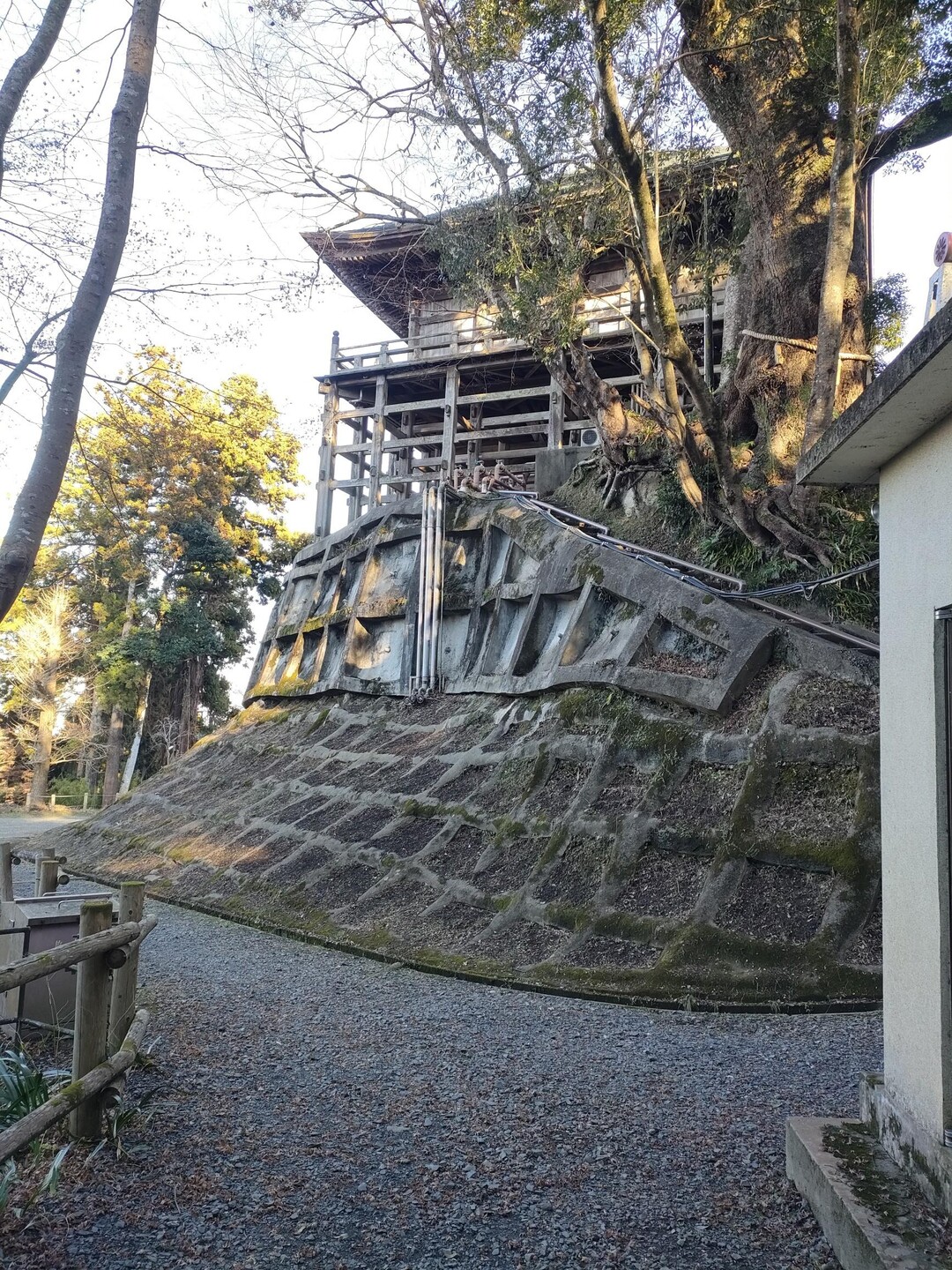 笠森グリーンルート-2025-01-08 / きりHPさんの笠森グリーンルートの活動データ | YAMAP / ヤマップ