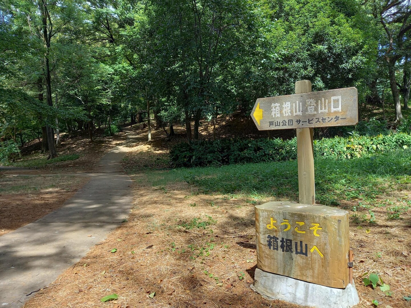 🚇️23区最高峰・箱根山へ！東新宿駅～箱根山～西早稲田駅 / UDさんの東京都23区 中央エリアの活動データ | YAMAP / ヤマップ