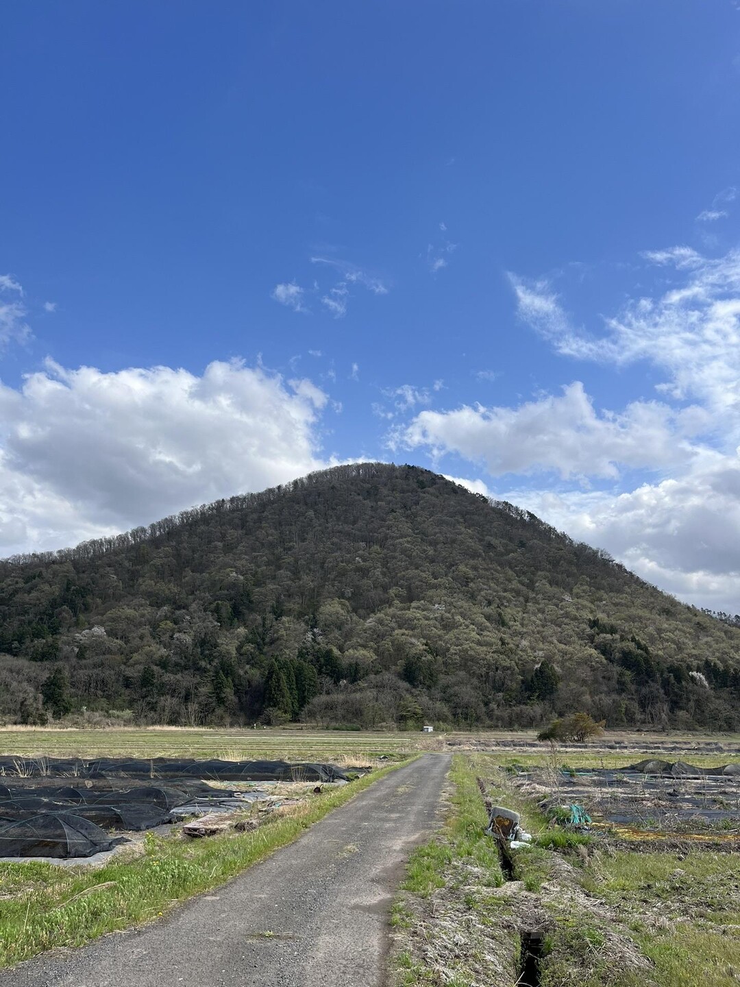小菰石山・大岡山 / JhonWickさんの大岡山・小菰石山の活動データ | YAMAP / ヤマップ