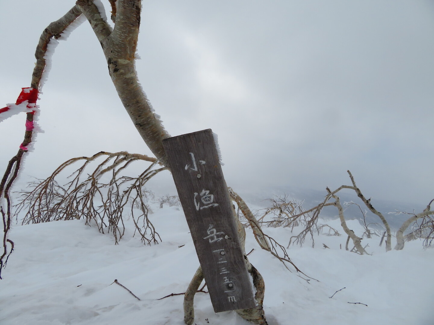 漁岳・小漁岳 / naotoGSさんの漁岳の活動データ | YAMAP / ヤマップ