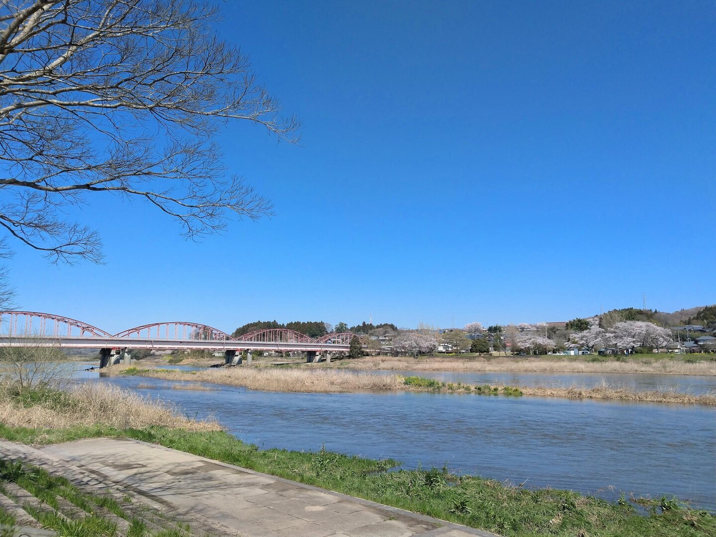 御前山・赤沢富士・白山周回👣 / totoさんの御前山の活動データ | YAMAP / ヤマップ