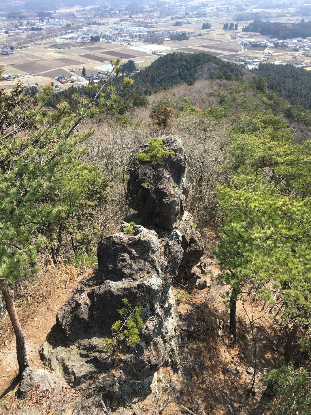 180318_男抱山 / white-mtさんの古賀志山・赤岩山・鞍掛山・男抱山・半蔵山の活動データ | YAMAP / ヤマップ