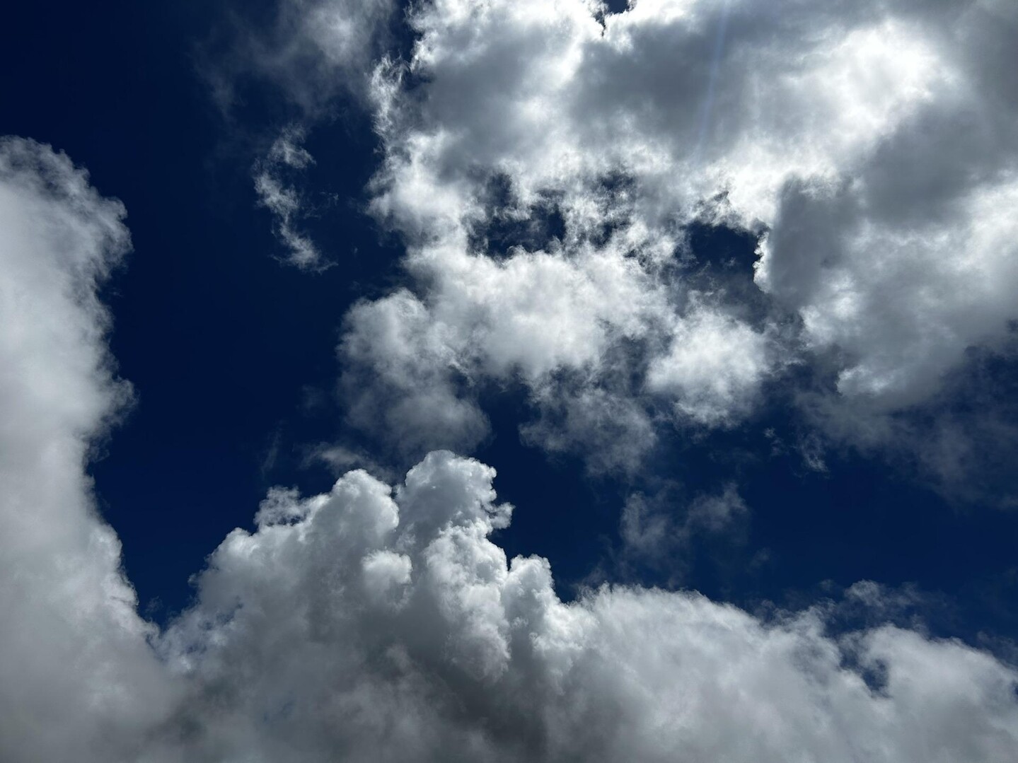 本宮山 / yu-koさんの本宮山・大日山・風頭山の活動データ | YAMAP / ヤマップ