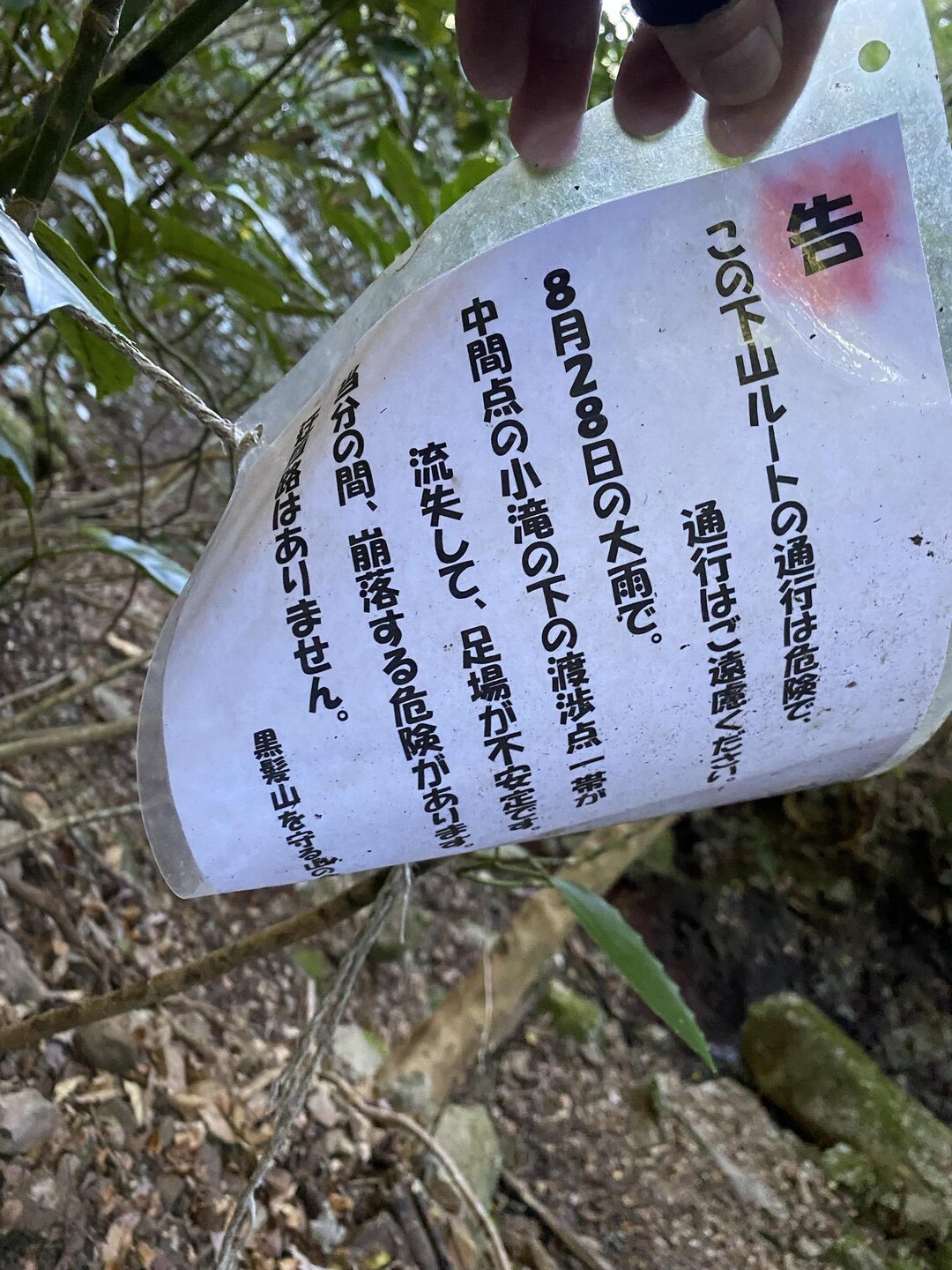 黒髪山 連山 All complete‼︎《後編》 〜 牧ノ山・牧II峰（青牧山）・伊万里富士（腰岳） / 梅と平和を噛みしめてさんの伊万里市の活動データ | YAMAP / ヤマップ