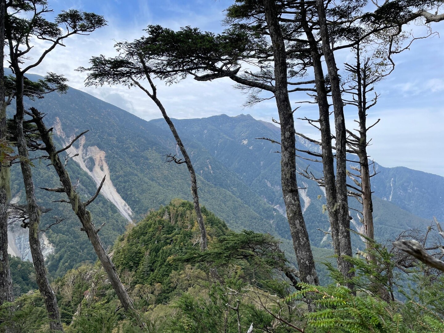 千頭星山から鳳凰三山を見る / HajiManaさんの鳳凰山・地蔵岳・観音岳・薬師岳の活動データ | YAMAP / ヤマップ