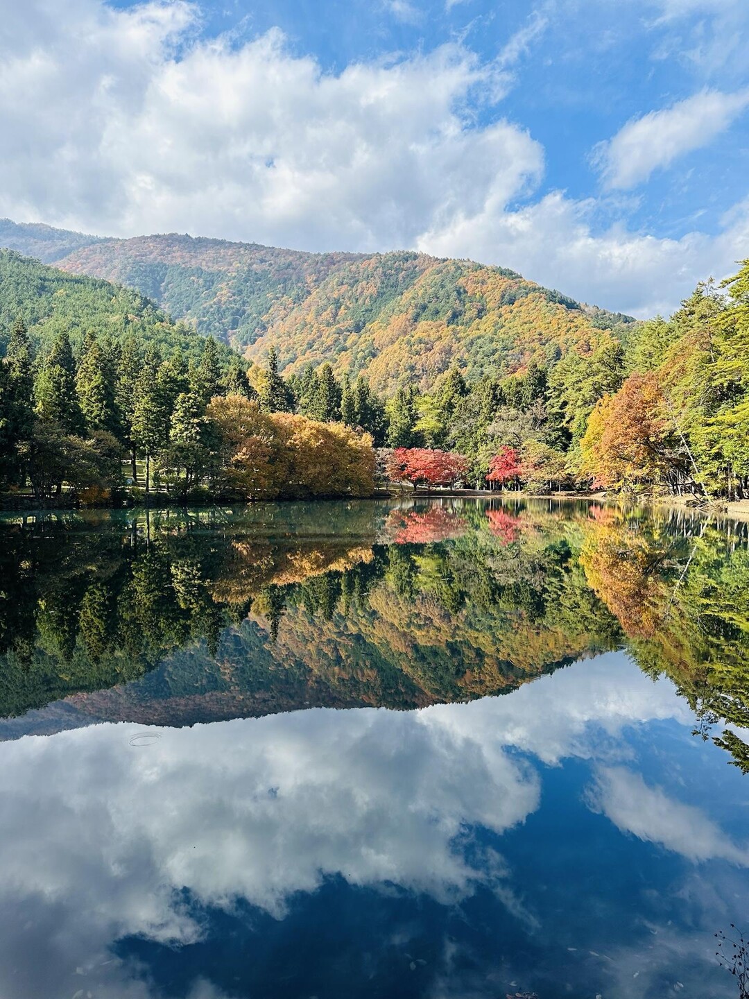 伊奈ヶ湖🍁 / ταさんの櫛形山・裸山・唐松岳の活動データ | YAMAP / ヤマップ