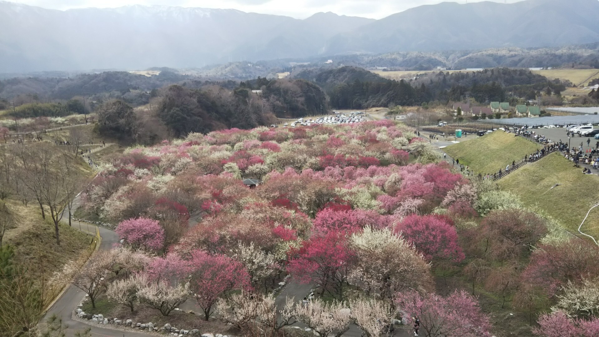 (東海自然歩道)美濃津屋～いなべ市農業公園往復 / daigo777さんの養老山・笙ヶ岳・三方山の活動データ | YAMAP / ヤマップ