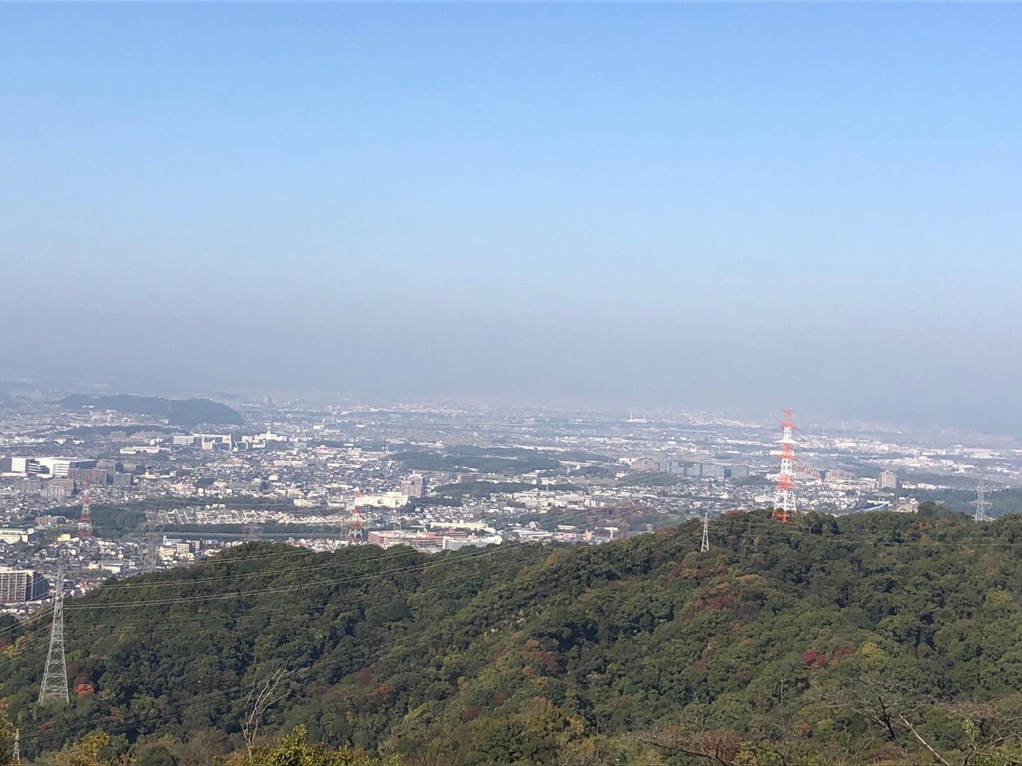 国見山・新サンドイッチ山・サンドイッチ山・交野山 / mi koさんの交野山・国見山の活動データ | YAMAP / ヤマップ