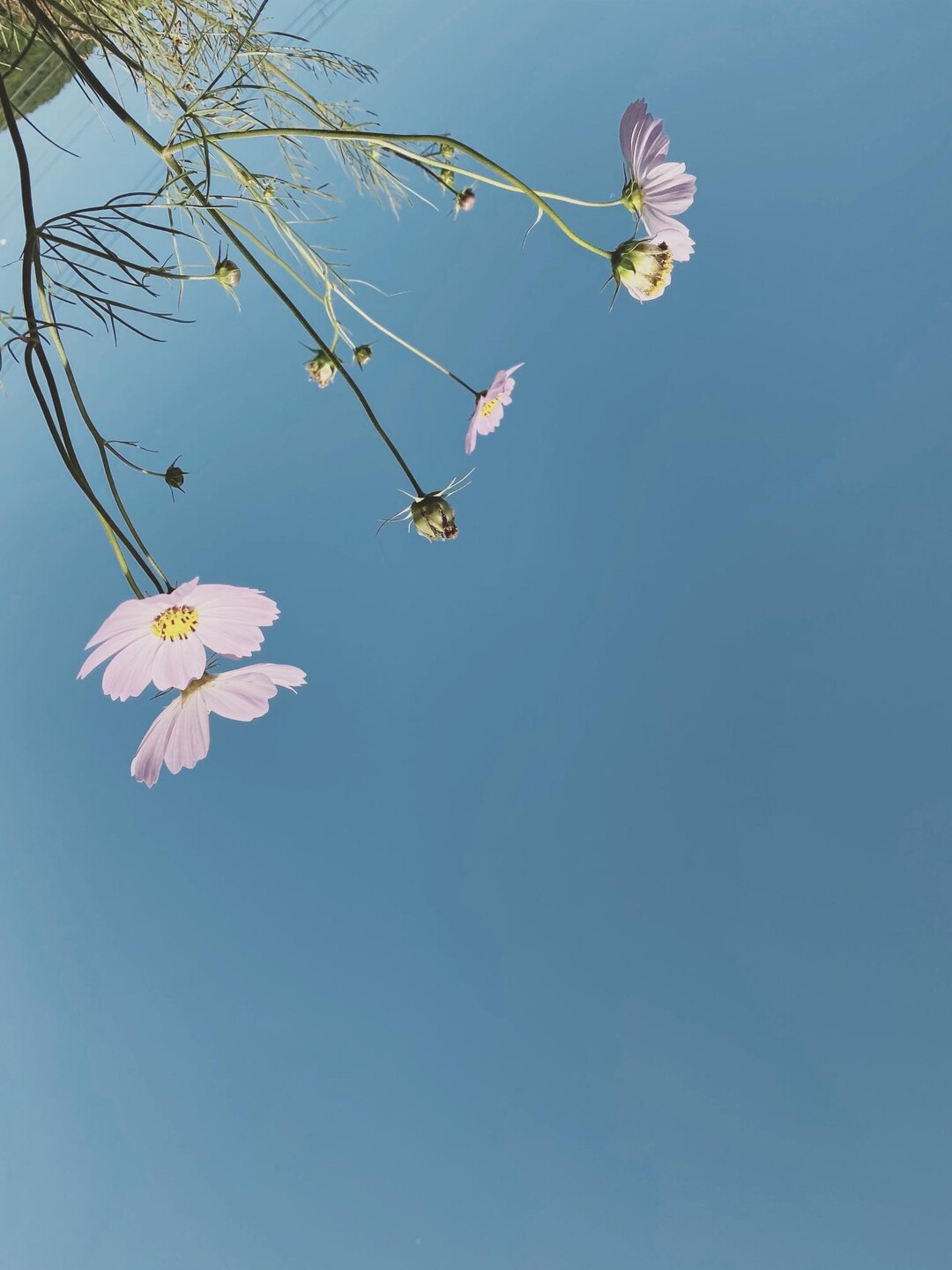 京都一周トレイル北山東コース②大原〜貴船・鞍馬 / Yum.26さんの貴船山・鞍馬山の活動データ | YAMAP / ヤマップ